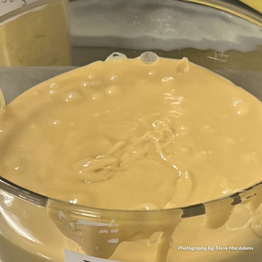 Find Crispy Commission Concentrates in Massachusetts — Crispy Commission