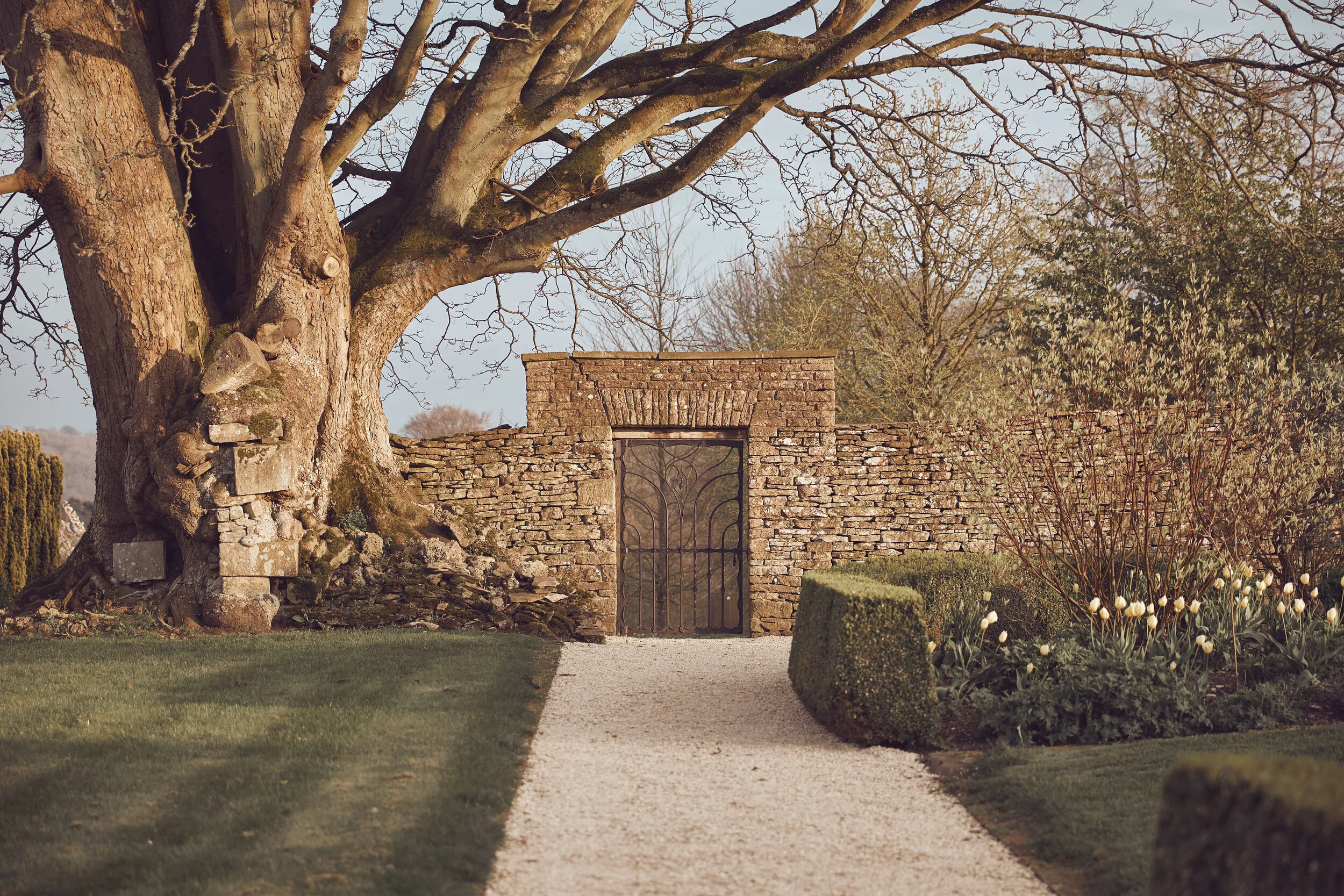 MISERDEN ESTATE — Nico Wills Photography