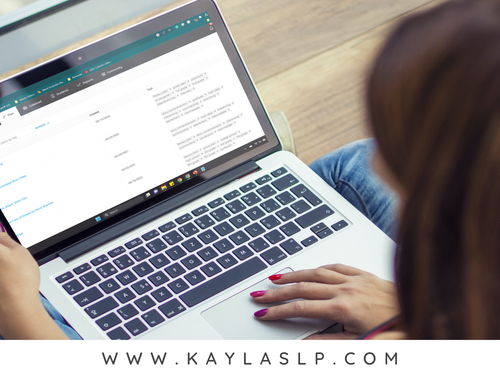 Review: SLP Toolkit for Speech-Language Pathologists — Kayla SLP