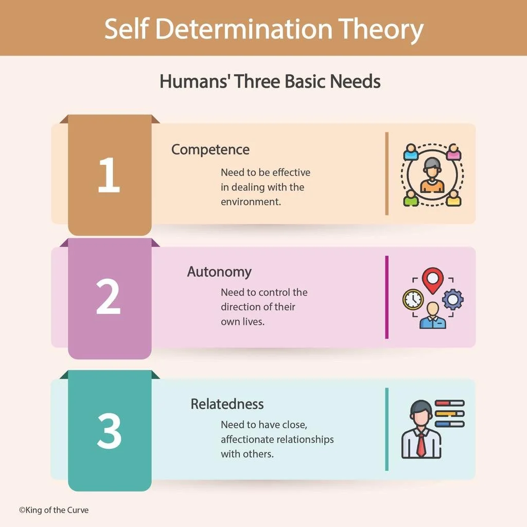 🧠 Self-Determination Theory (SDT): The Psychology Behind Motivation ...