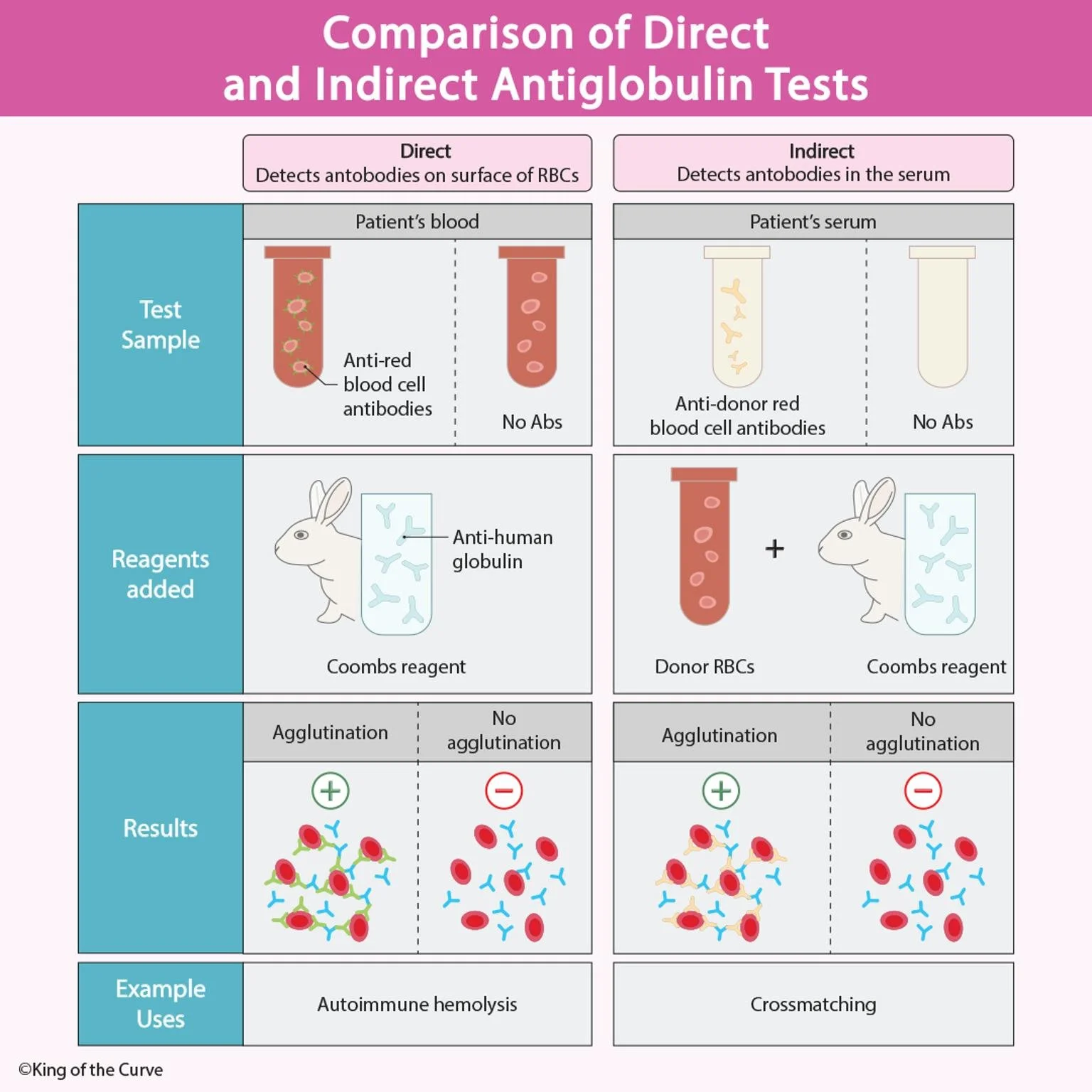 🧪 Understanding Direct vs. Indirect Antiglobulin Tests (Coombs Tests ...