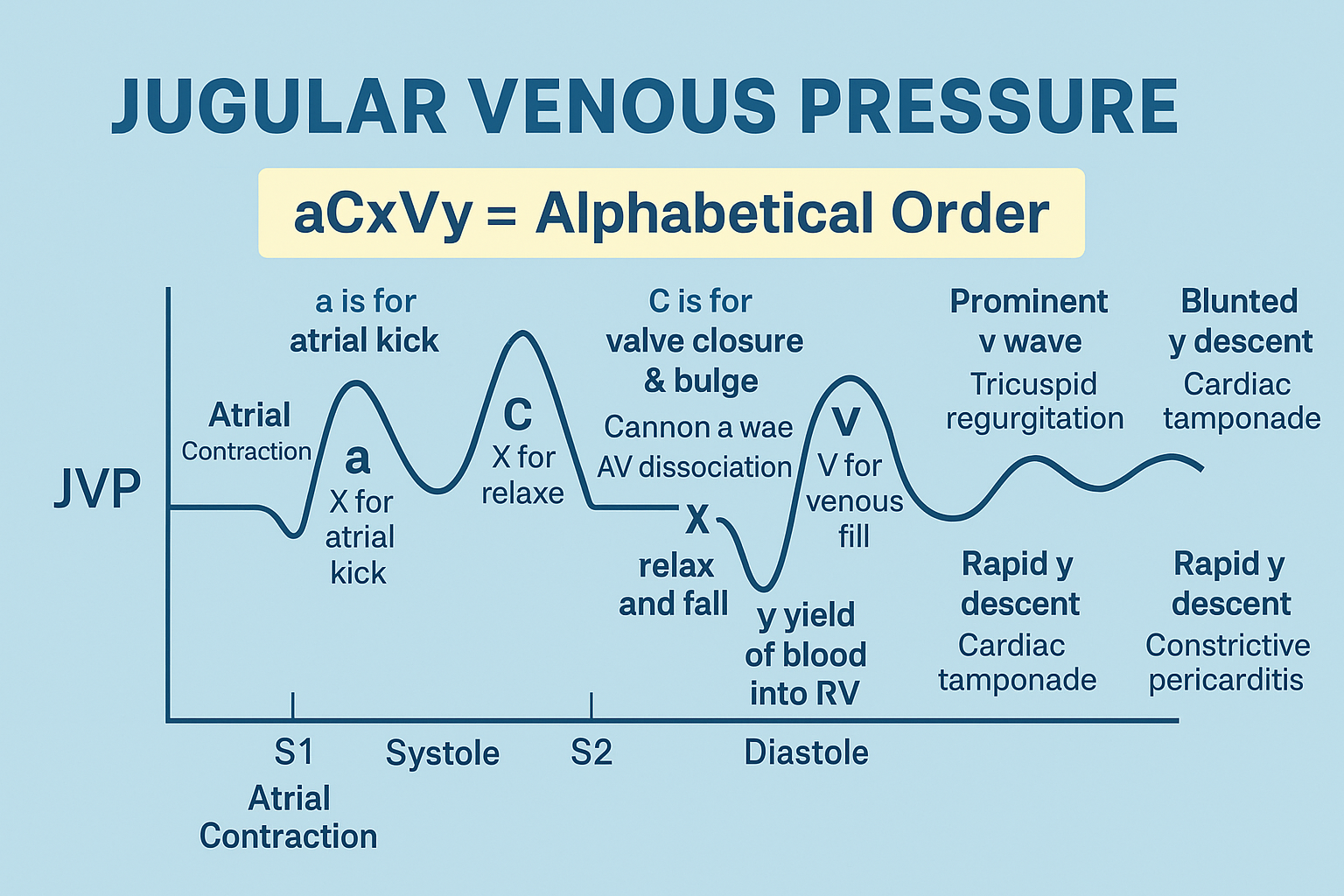 💓 Jugular Venous Pulse (JVP): Waves, Mnemonics, and Clinical Clues — King of the Curve