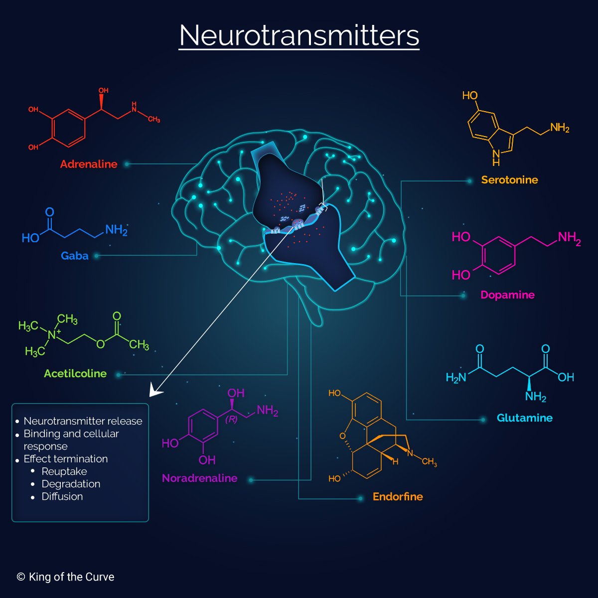 Mastering Neurotransmitters & Synaptic Transmission for the DAT — King ...