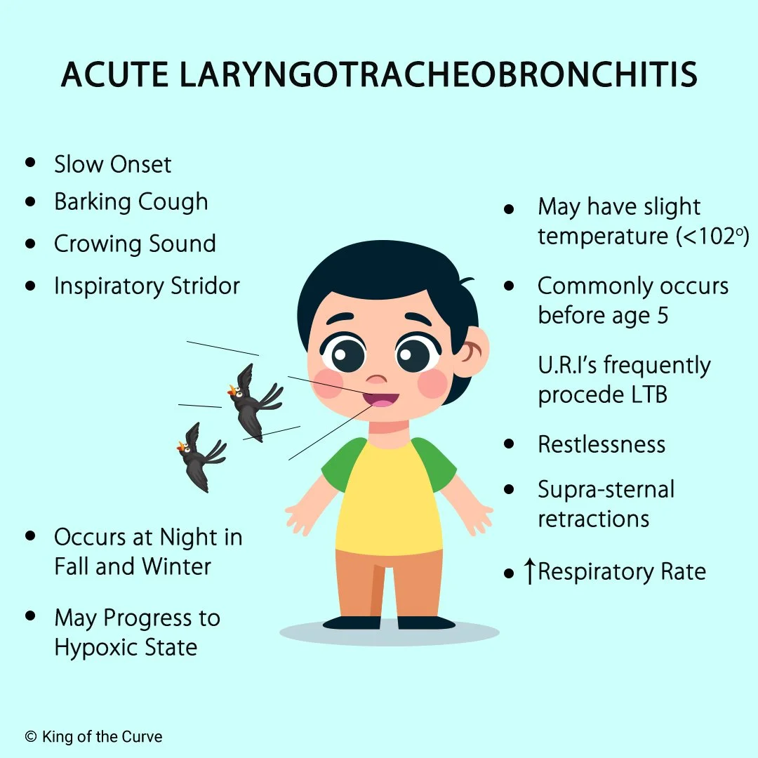 Acute Laryngotracheobronchitis (Croup) NCLEX Guide: Symptoms ...