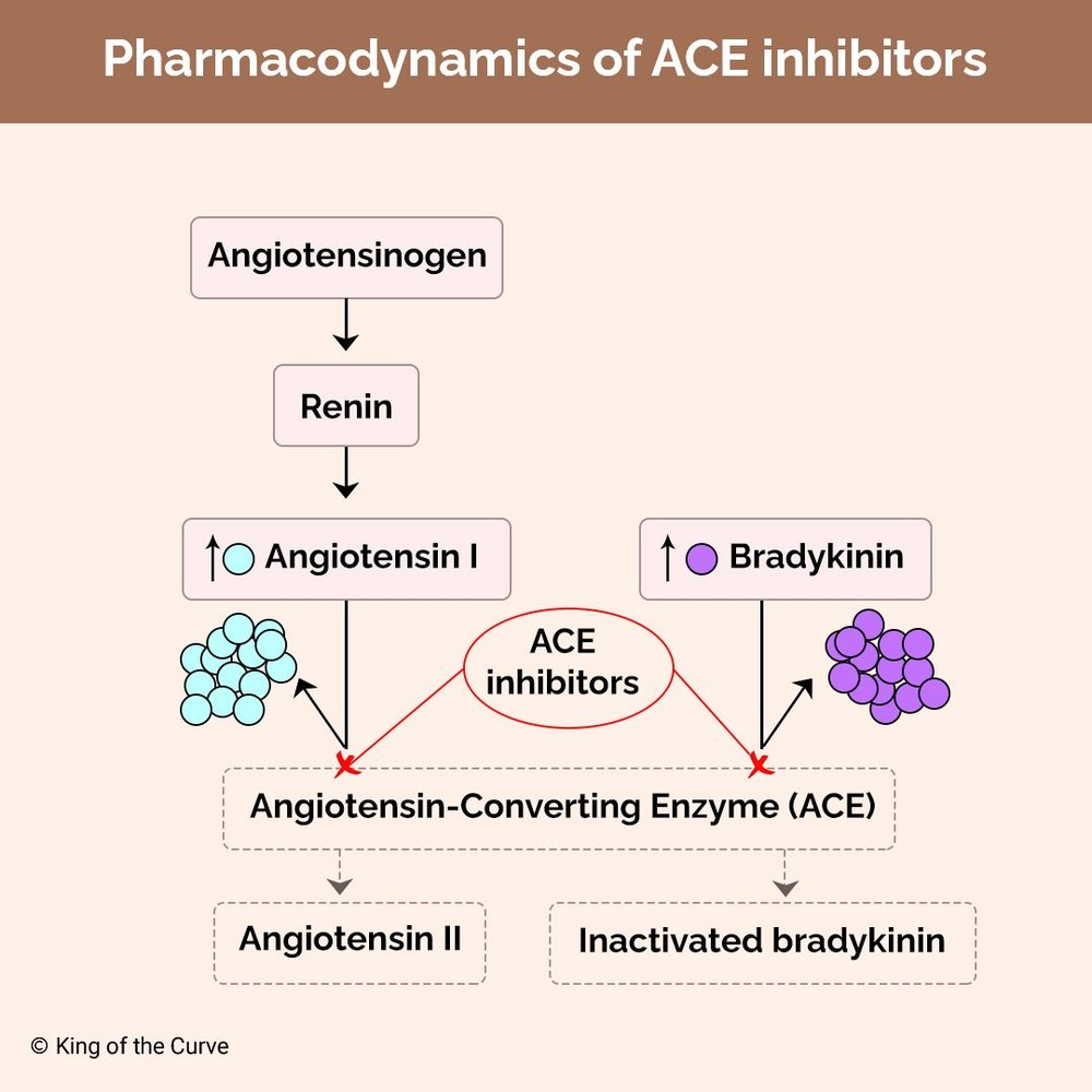 How ACE Inhibitors Work – A Key NCLEX Pharmacology Concept — King of ...