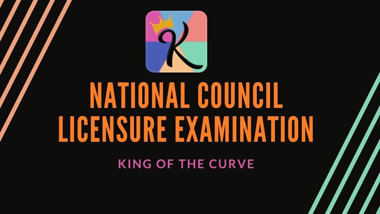 Pearson VUE NCLEX Your Comprehensive Guide to Success — King of the Curve