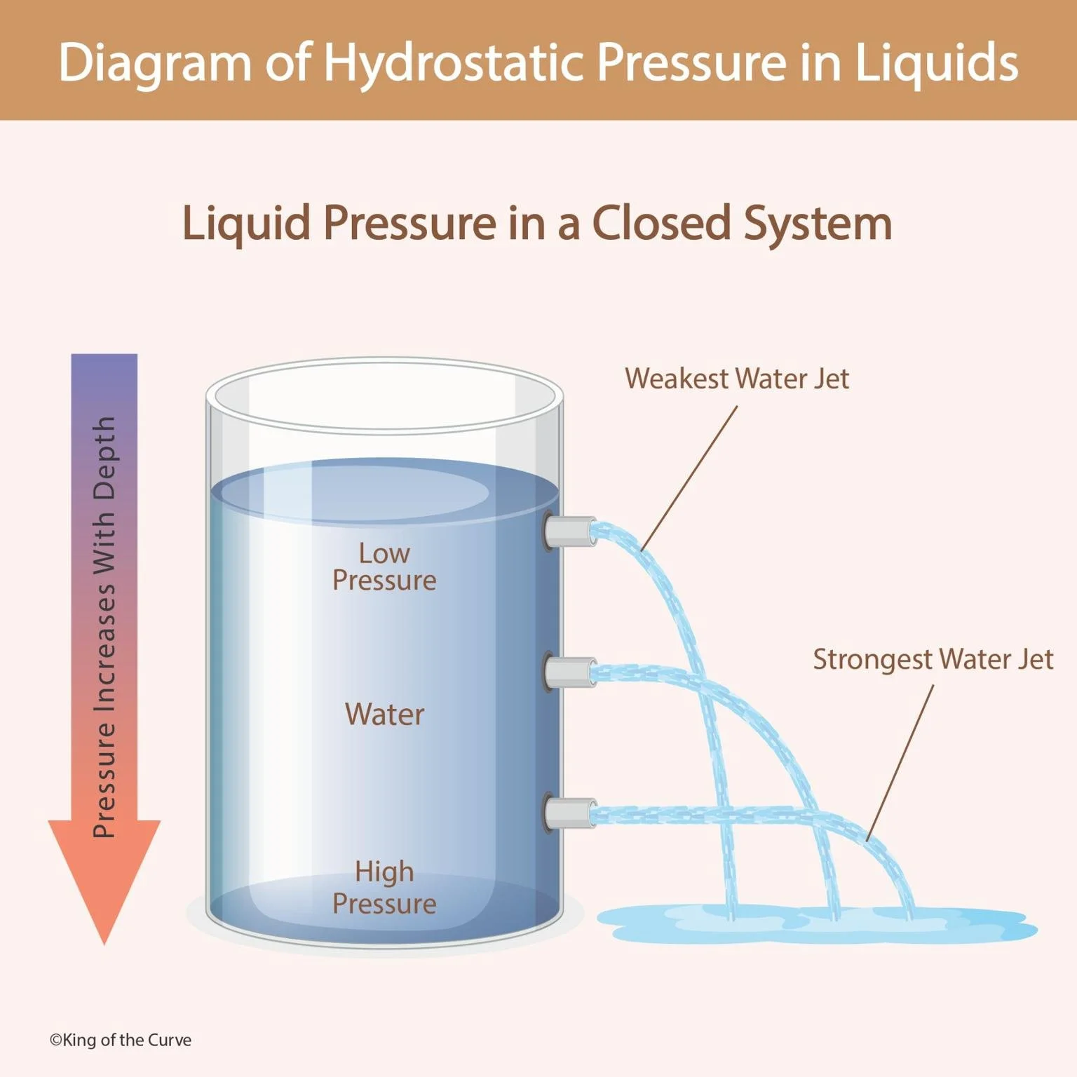 🌊 Understanding Hydrostatic Pressure in Liquids — King of the Curve