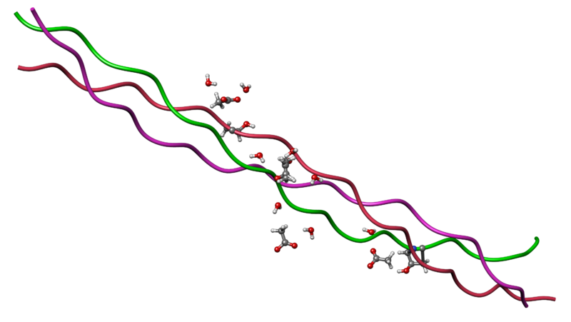 The 5 Essential Roles of Proteins in Cellular Function — King of the Curve