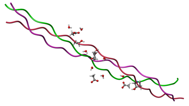 The 5 Essential Roles of Proteins in Cellular Function — King of the Curve