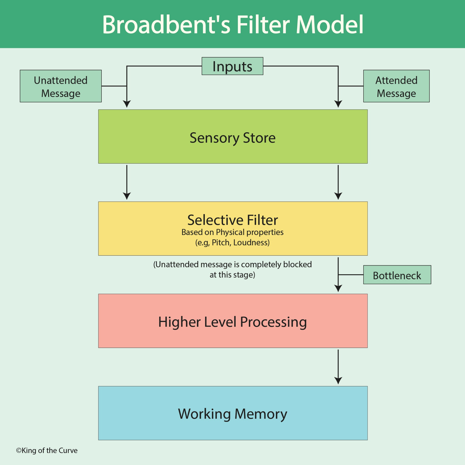🧠 Broadbent’s Filter Model: Understanding Selective Attention — King of ...