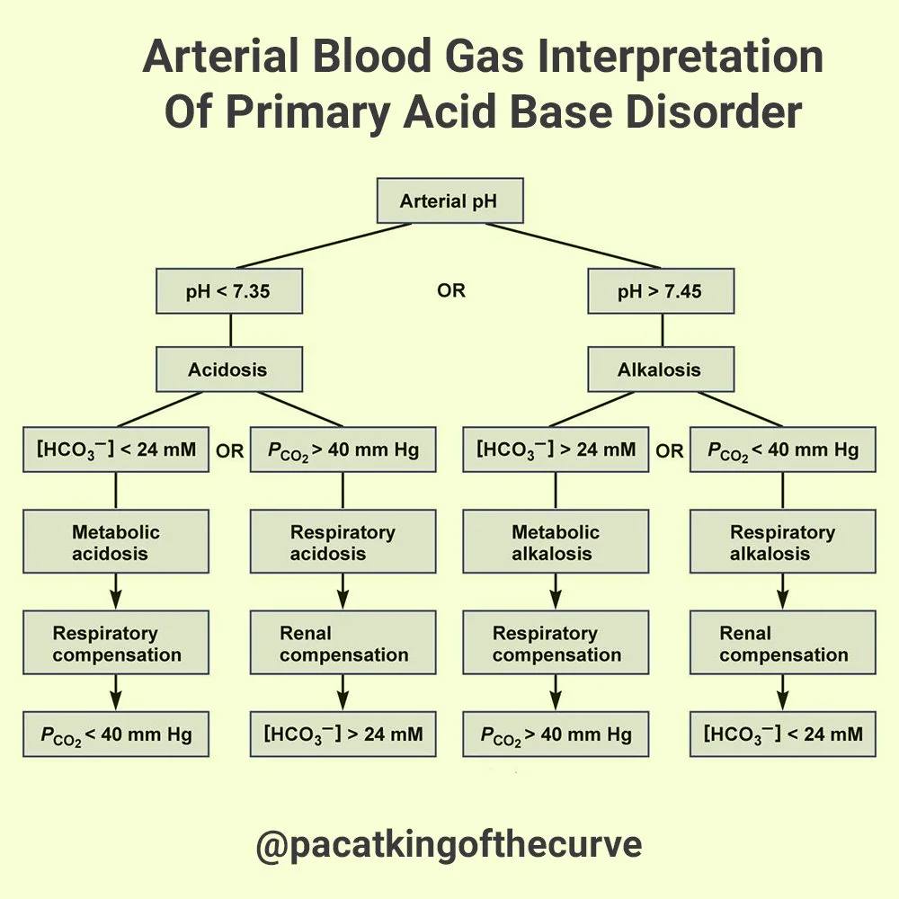 Arterial Blood Gas (ABG) Interpretation: Acid-Base Disorders for NCLEX ...