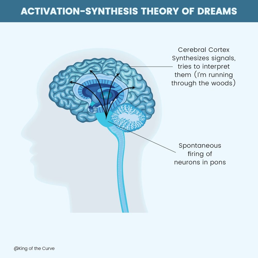 Activation-Synthesis Theory of Dreams: MCAT Psychology Concept ...