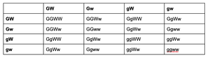 Mastering the Punnett Square: Simple Guide to Genetic Crosses — King of ...