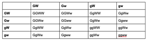 Mastering the Punnett Square: Simple Guide to Genetic Crosses — King of ...