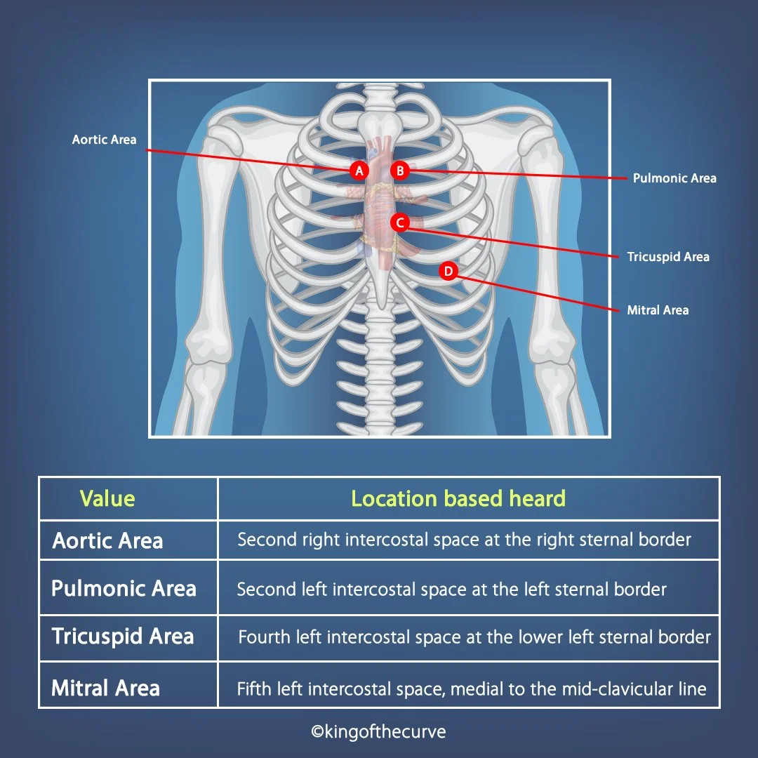Mastering Heart Murmurs for the USMLE: Types, Mnemonics, and Diagnosis ...