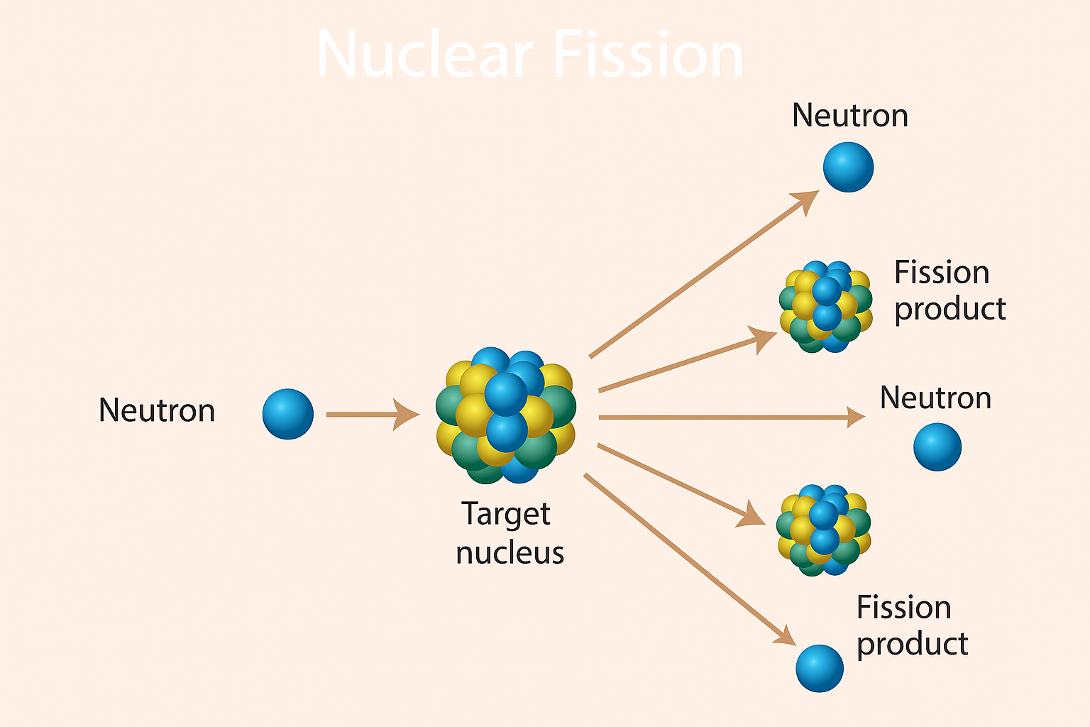 🔬 Nuclear Fission: A Chain Reaction Explained — King of the Curve