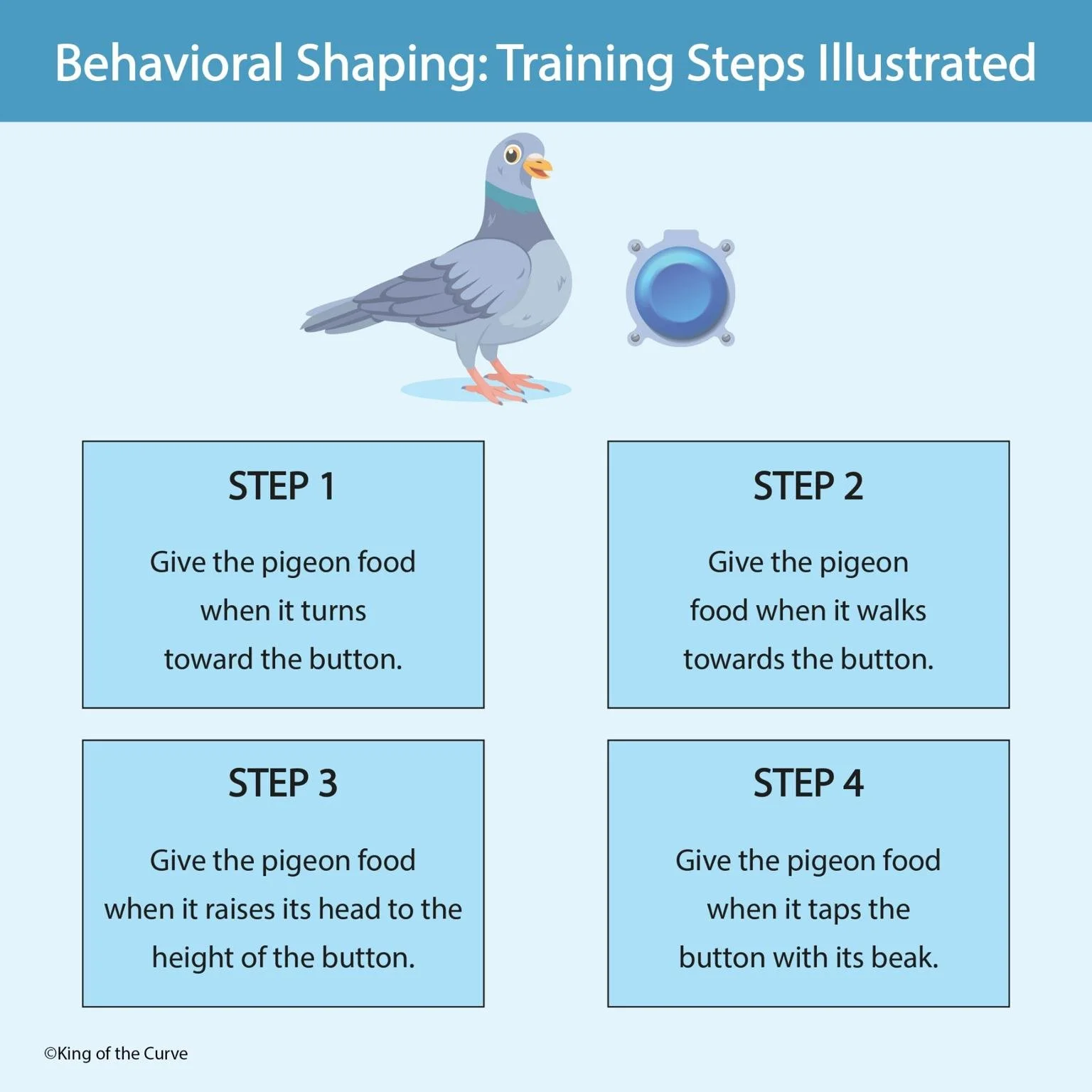 🧠 Behavioral Shaping: Training Steps Illustrated — King of the Curve