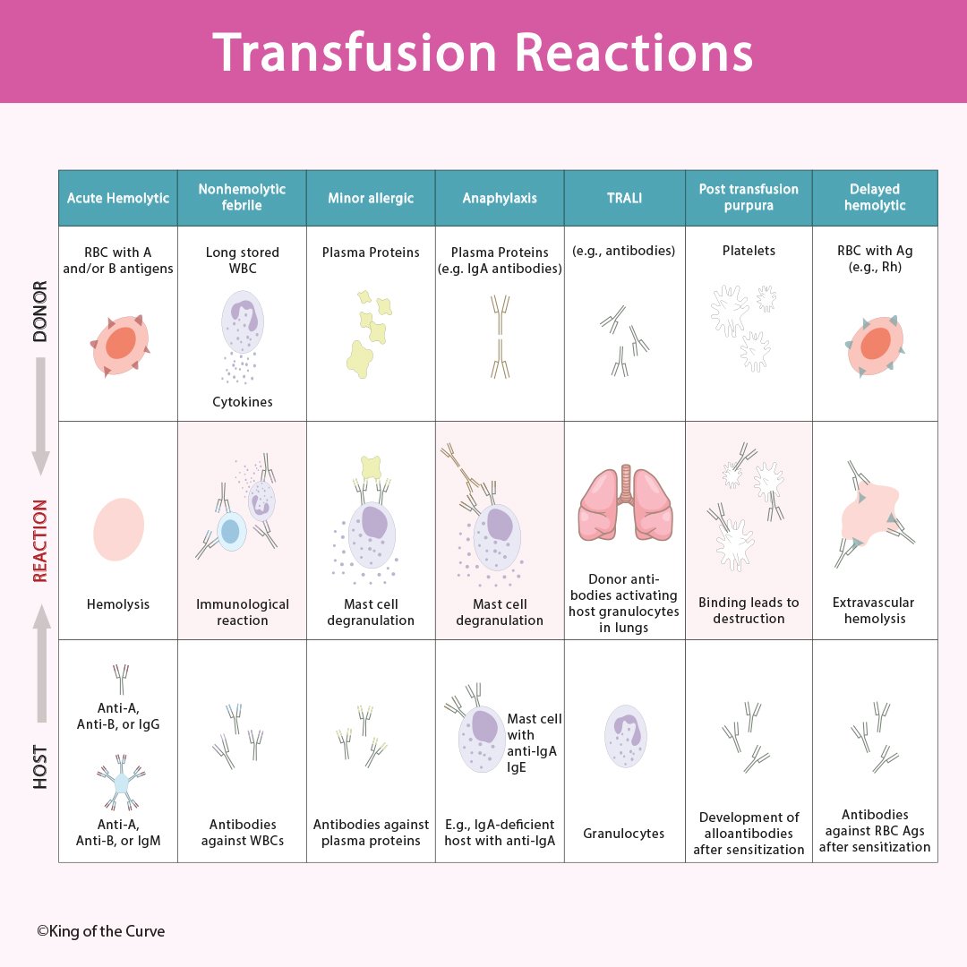 🩸 Transfusion Reactions Explained: High-Yield Guide for MCAT, NCLEX ...
