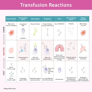 🩸 Transfusion Reactions Explained: High-Yield Guide for MCAT, NCLEX ...