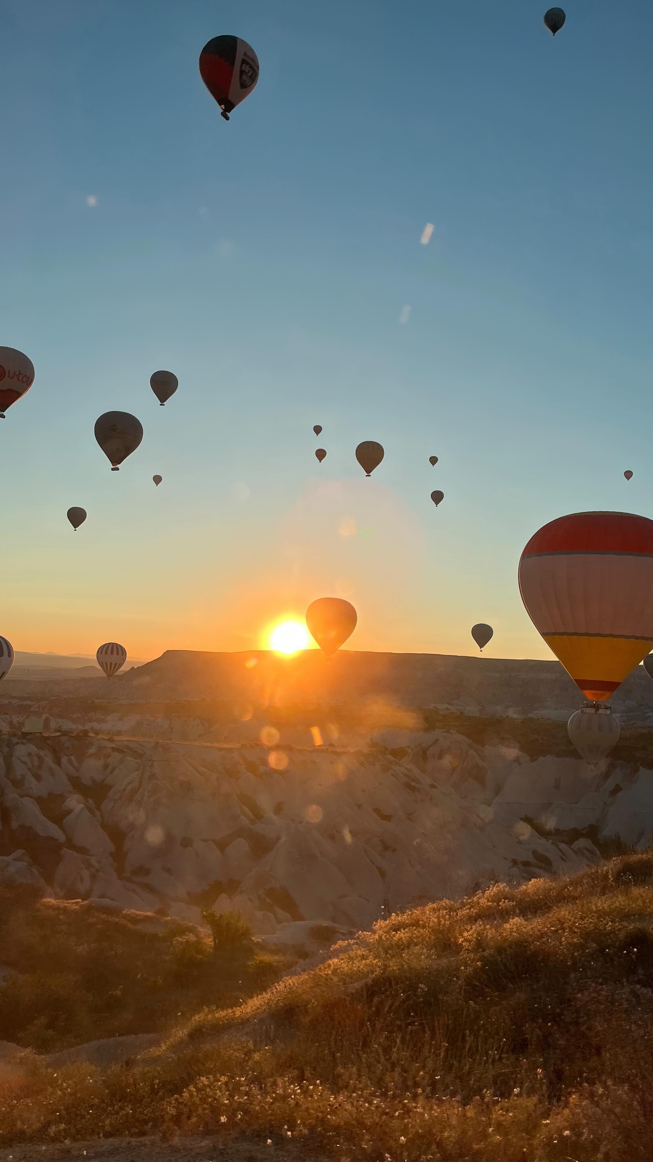 The Road Jes Traveled