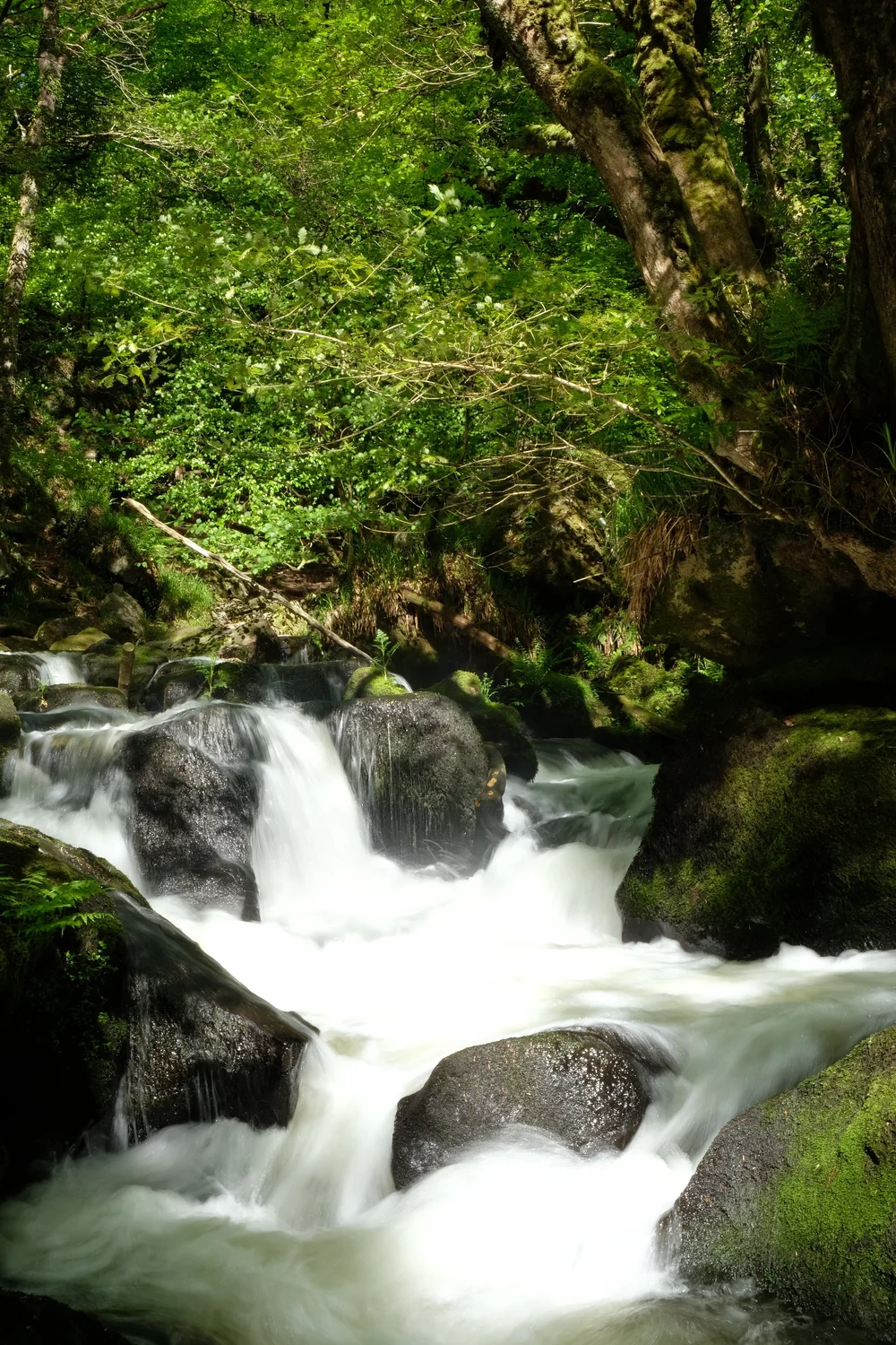 Inkies Small Batch Moonshine - Cornwall