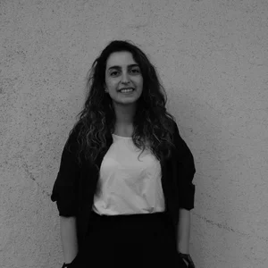 Bahar Bagheri Hi-DARS PhD Fellow — HI-DARS