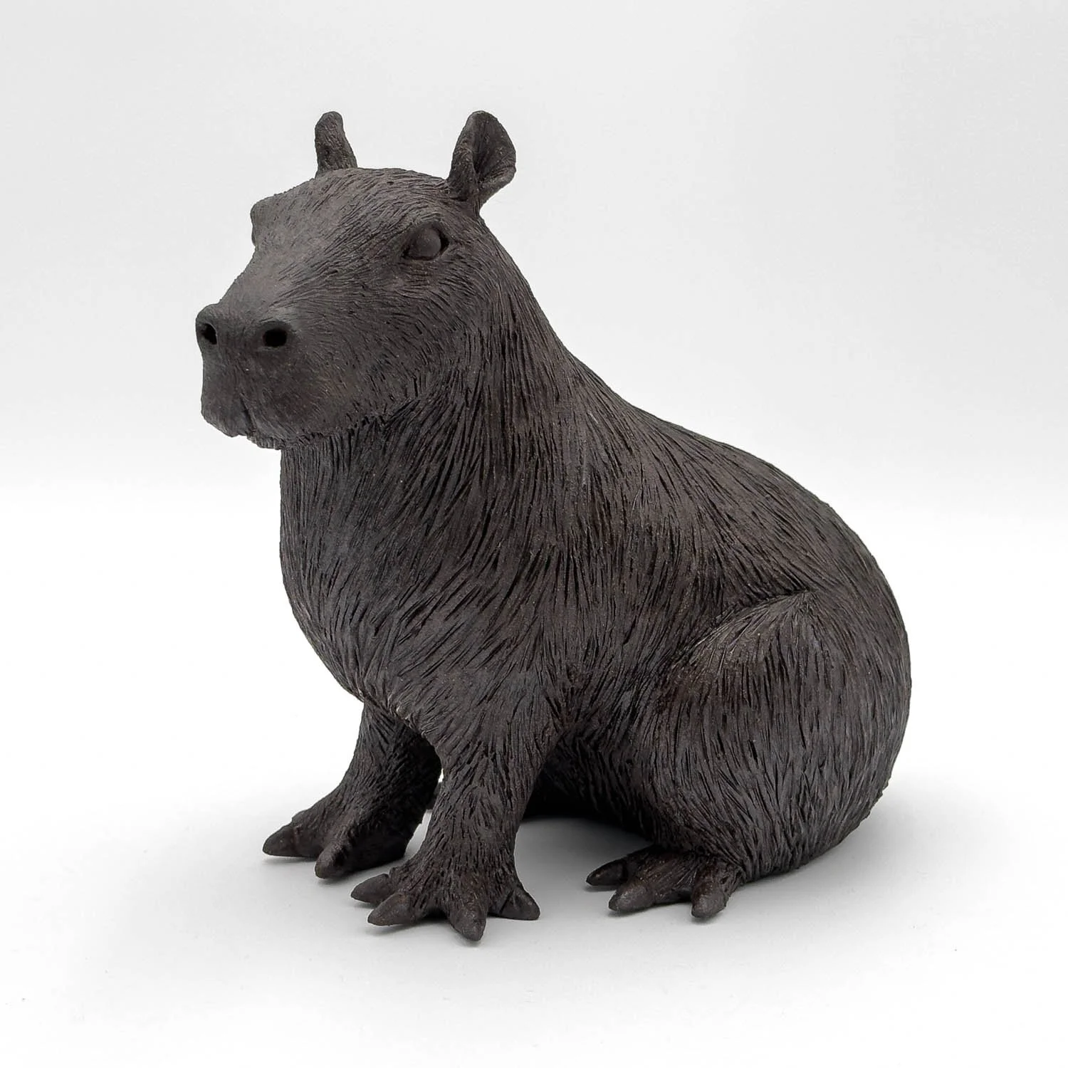 Capybara — Bronwen Weber