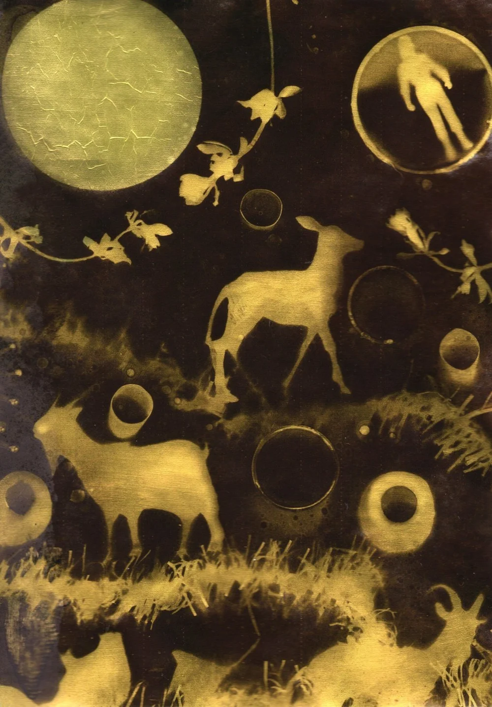 Feature: Maureen Mulhern-White: “The Continuum” | Analog Forever Magazine