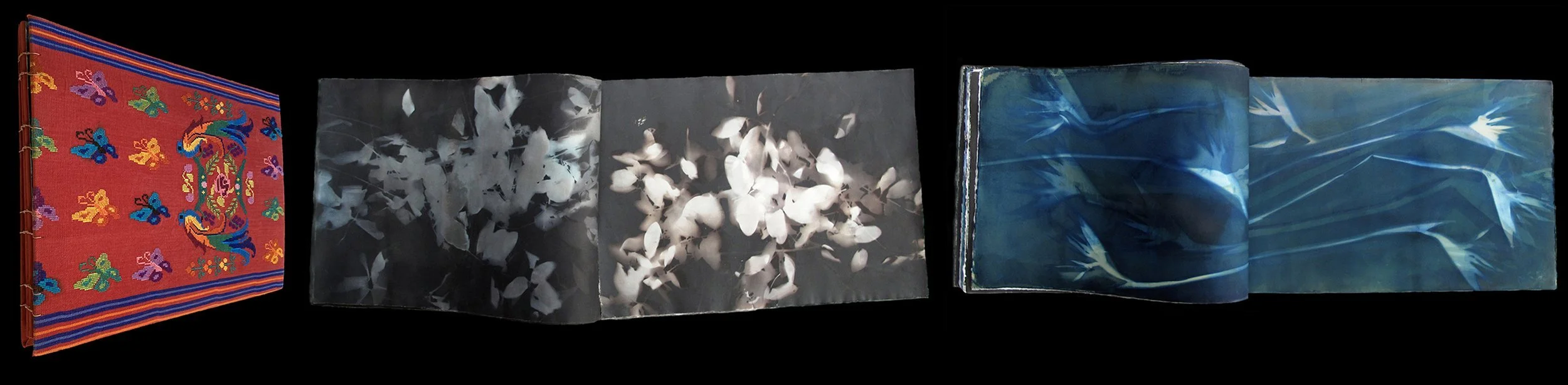 Twenty Alternative Process Photographers You Need to Know! | Analog ...