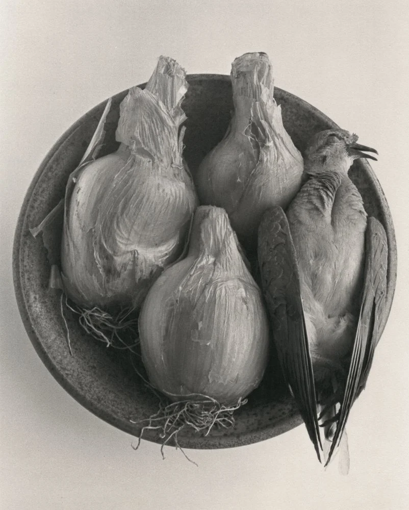 Book Review: Platinotype: Making Photographs in Platinum and Palladium ...