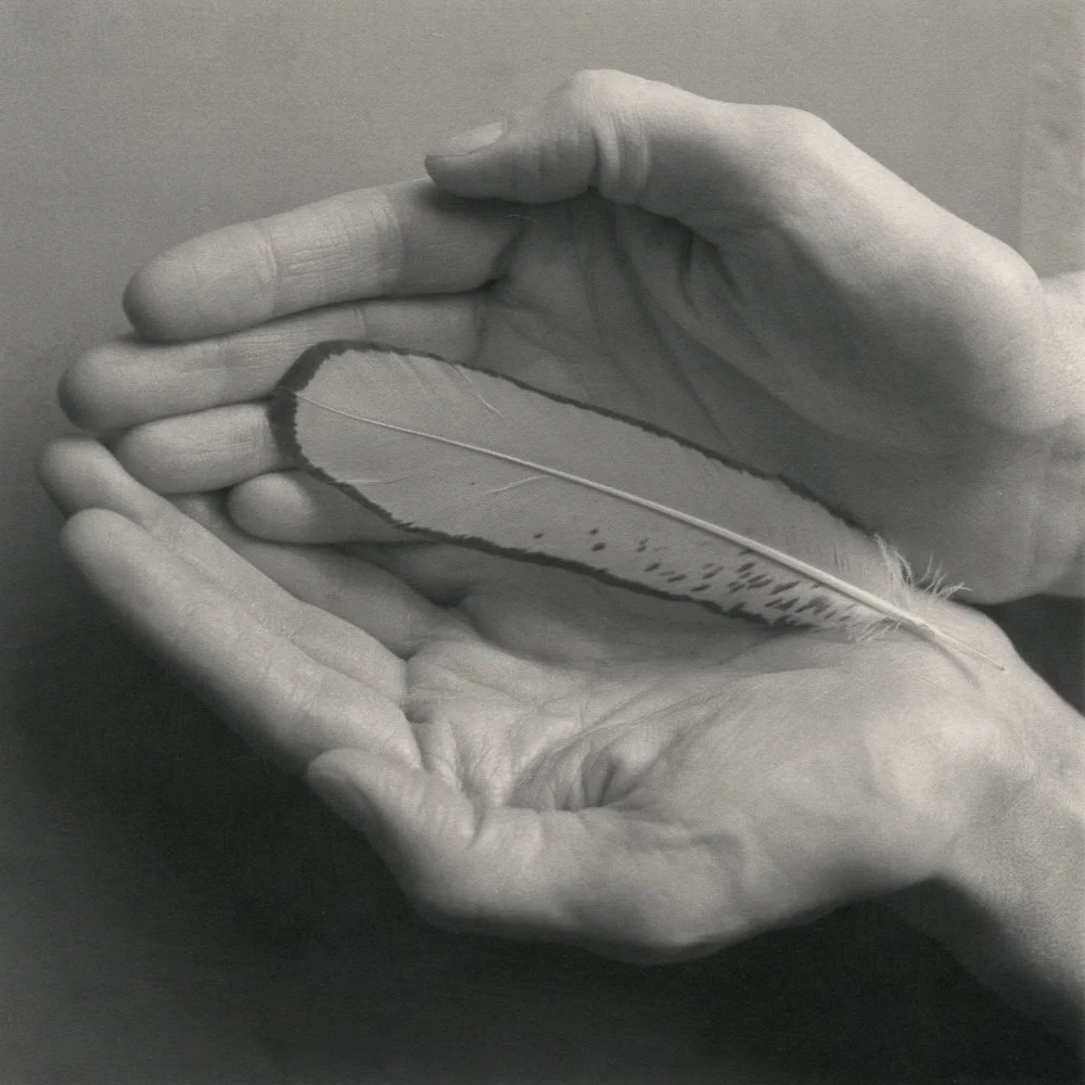Book Review: Platinotype: Making Photographs in Platinum and Palladium ...