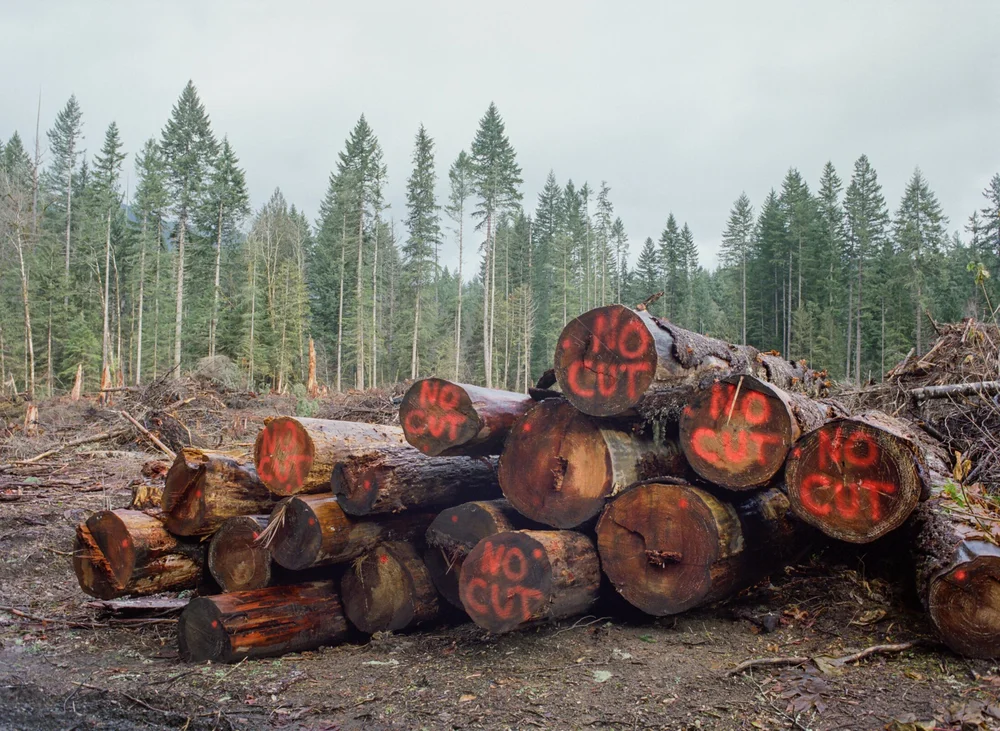 15 Film Documentary Photographers You Need to Know! | Analog Forever ...