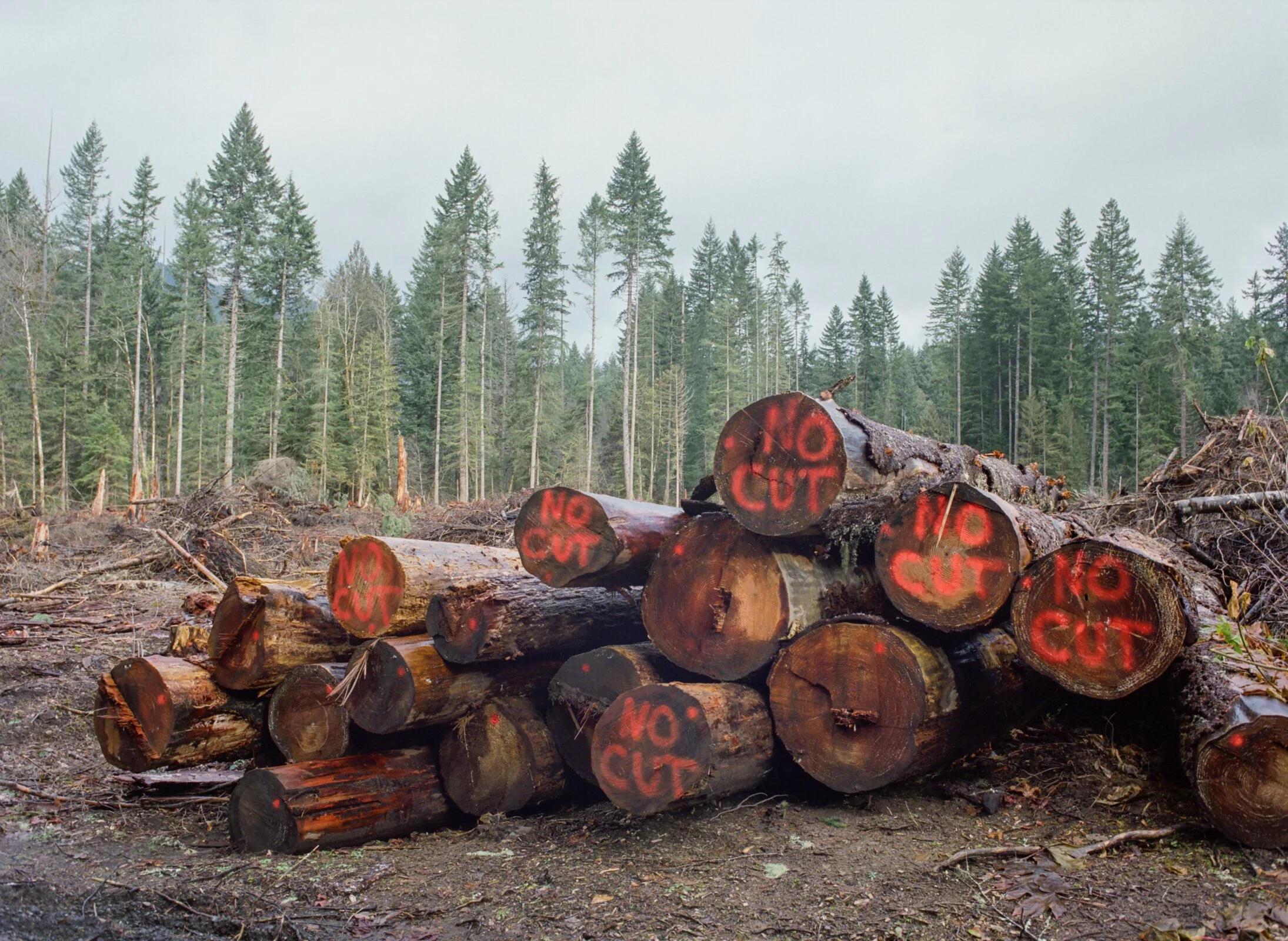 15 Film Documentary Photographers You Need to Know! | Analog Forever ...