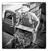 Interview: Fred Lyon - 75 Years of Photography | Analog Forever Magazine