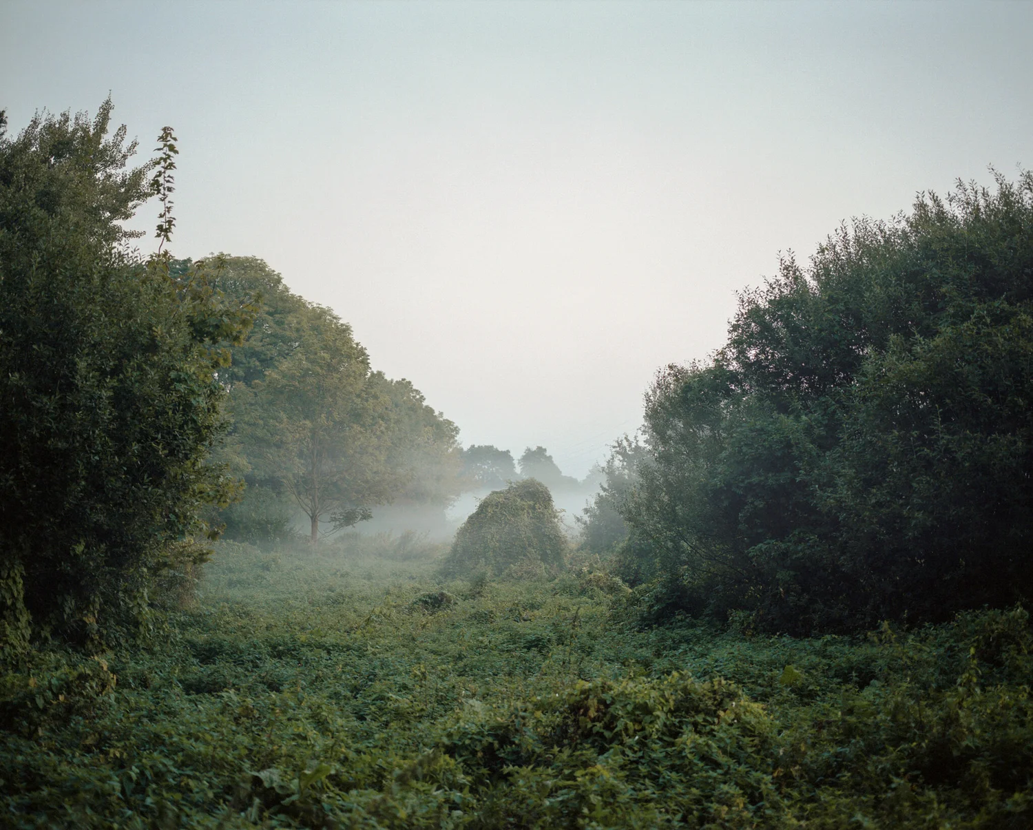 20 Mamiya 7 Photographers You Need to Know! | Analog Forever Magazine