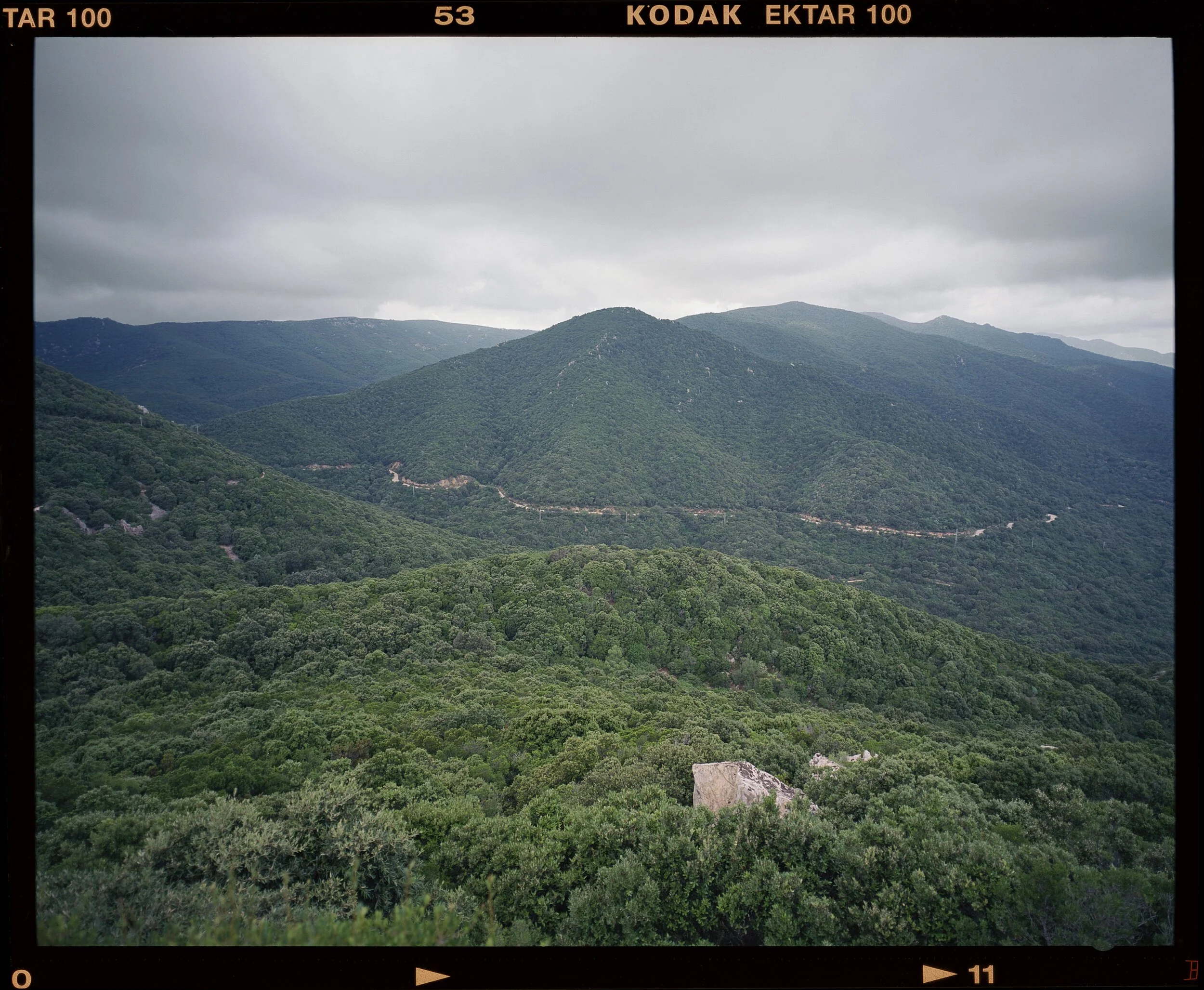 Featured Photographer: Daniel Kobi - In Pursuit of Nature | Analog ...
