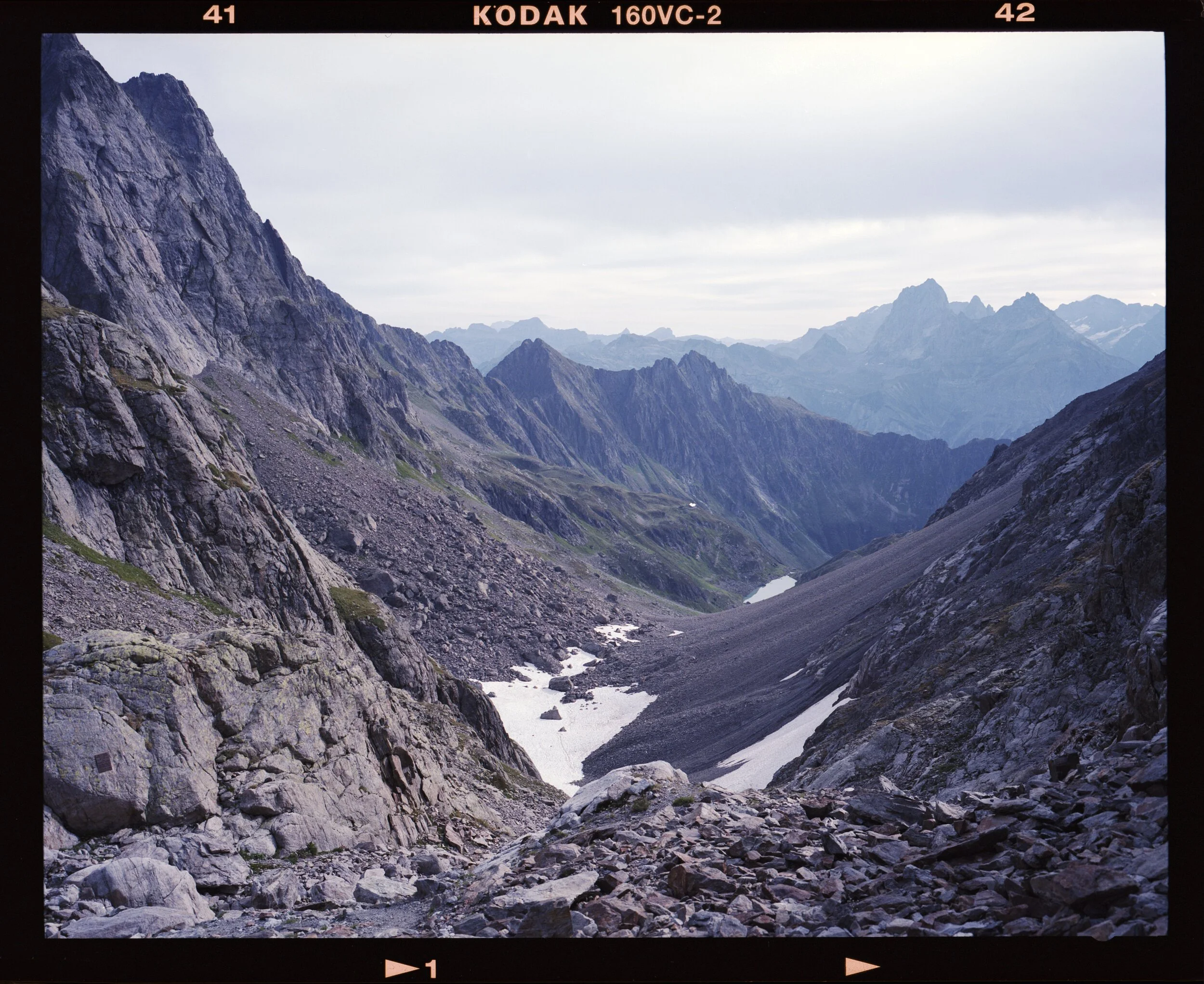 Featured Photographer: Daniel Kobi - In Pursuit of Nature | Analog ...