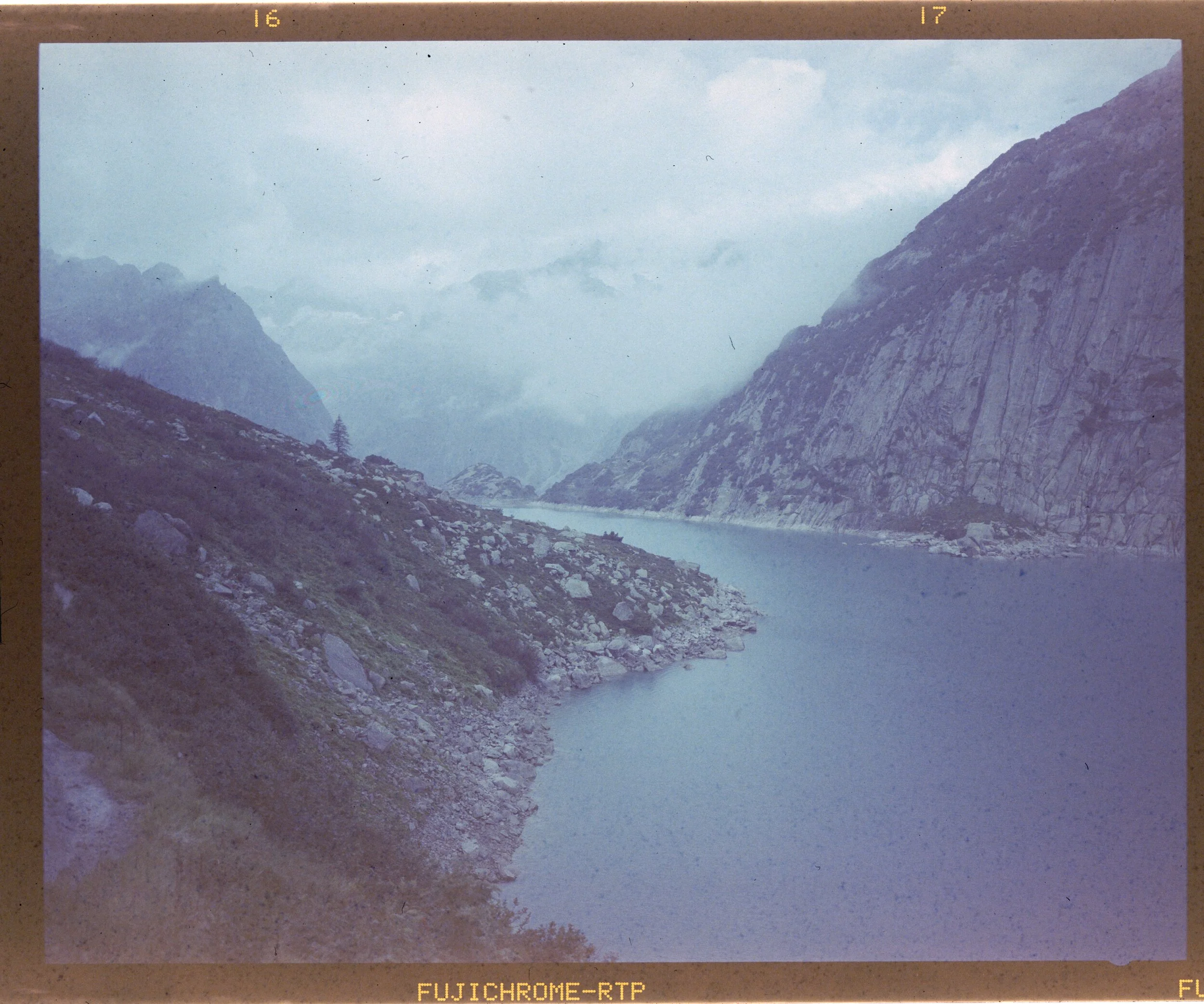 Featured Photographer: Daniel Kobi - In Pursuit of Nature | Analog ...