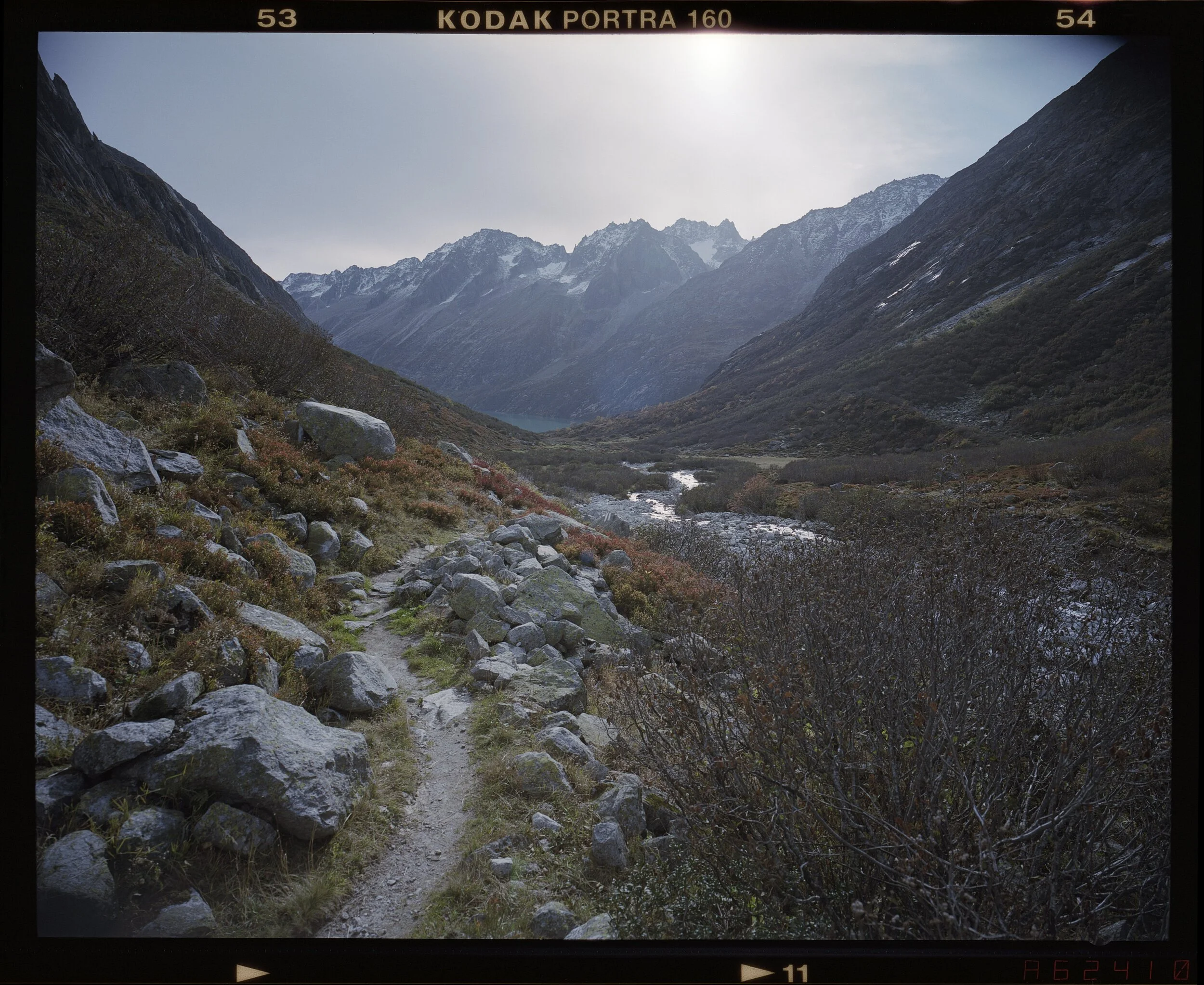 Featured Photographer: Daniel Kobi - In Pursuit of Nature | Analog ...