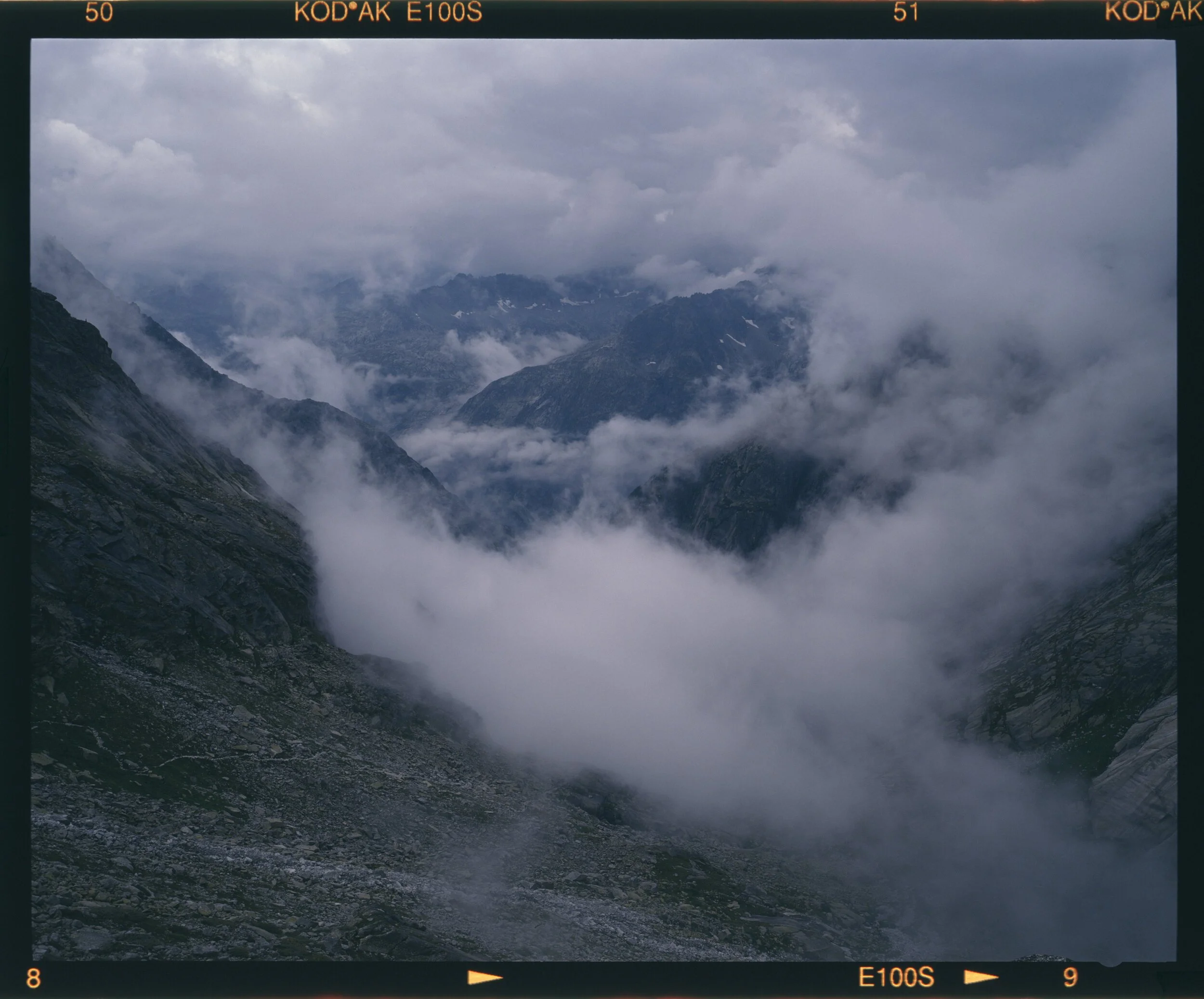 Featured Photographer: Daniel Kobi - In Pursuit of Nature | Analog ...