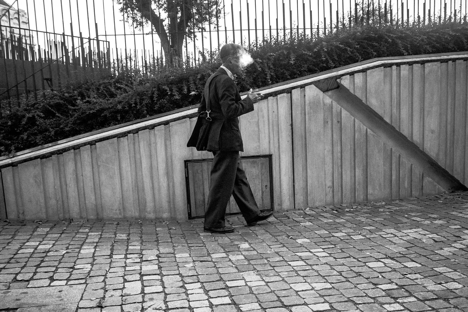 Book Review: Curiosities by Daniel Efram | Analog Forever Magazine