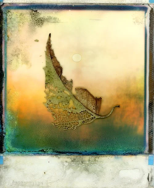 Interview: Graeme Webb's Photobook "Last Vestiges - The Exhumed Project ...