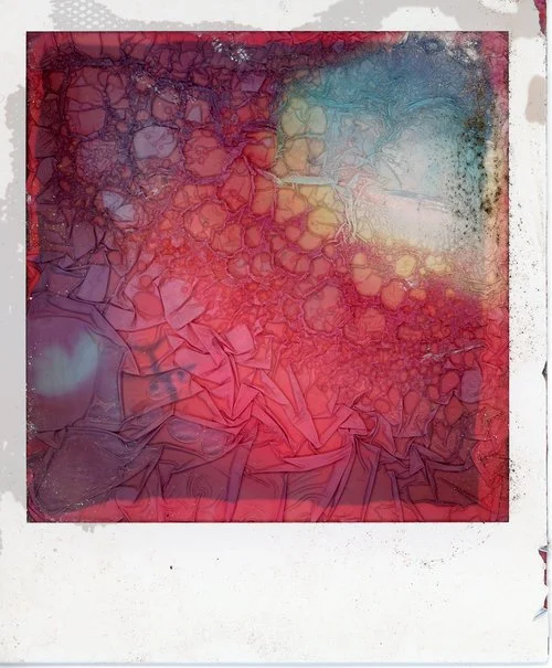 Interview: Graeme Webb's Photobook "Last Vestiges - The Exhumed Project ...