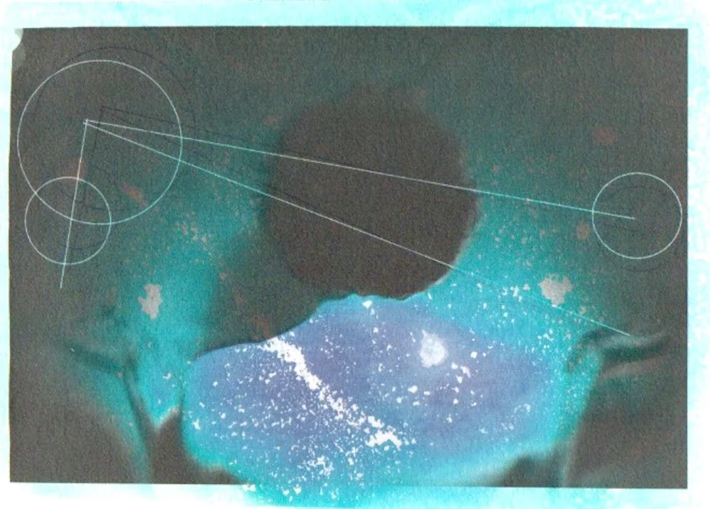 The Largest Curated Gallery of Cyanotypes of 2021 | Analog Forever Magazine