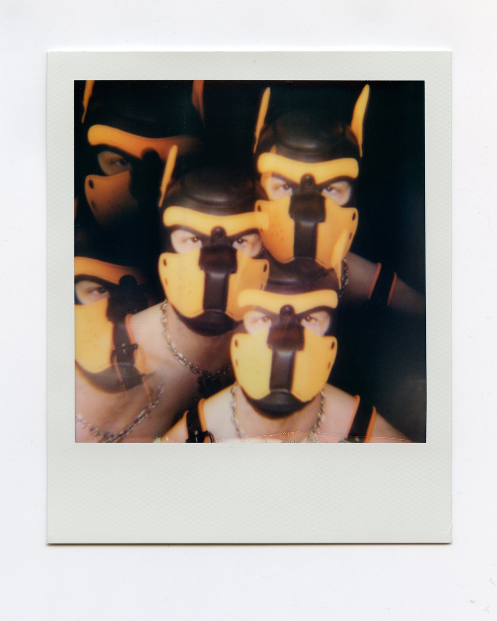 NSWF | 20 LGBTQIA+ Photographers You Need to Know in 2025! | Analog ...
