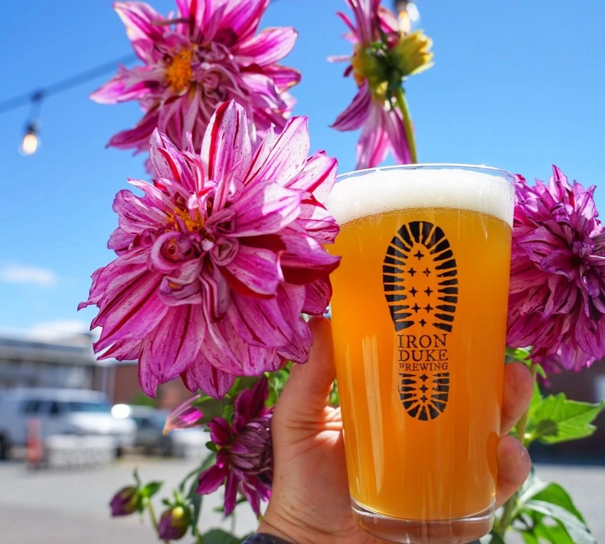 Sole Syndicate Brewing Co