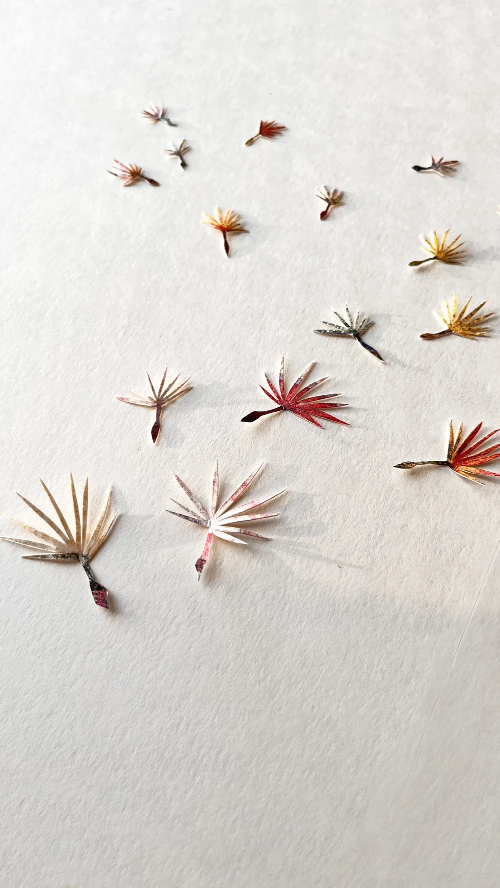 events — Palaver Strings