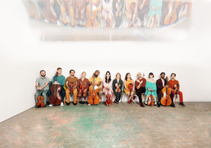 about — Palaver Strings