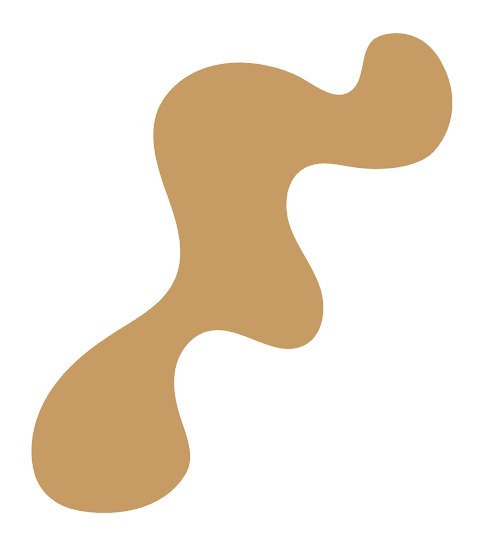 about — Palaver Strings