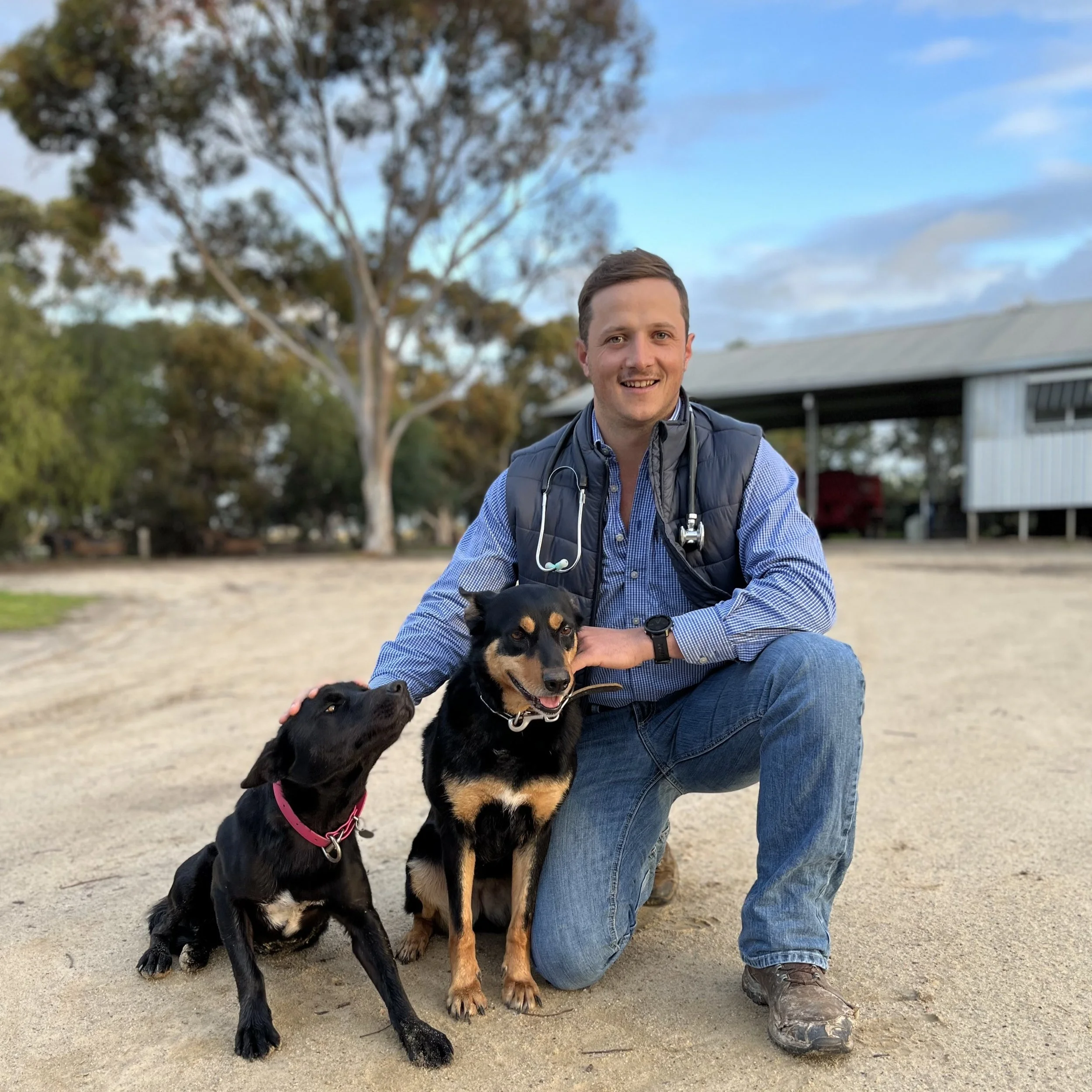 Meet Our Team — Longreach Veterinary Service